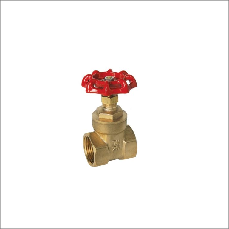 Brass Gate Valve BSP Taper F/F Ends - Pipe Dream Fittings