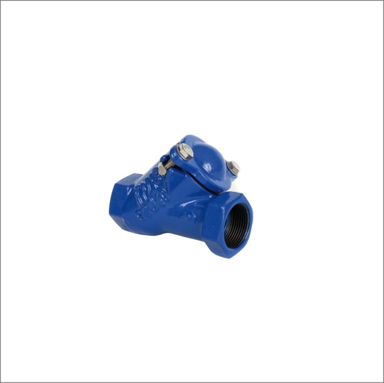 Ductile Iron PN16 Ball Check Valve BSP Parallel F/F End - Pipe Dream ...